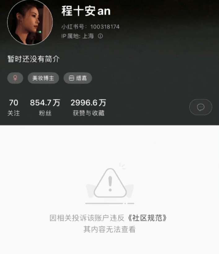 热搜第一!千万粉丝博主账号被封,她否认被警察带走 程十安 工作 微博