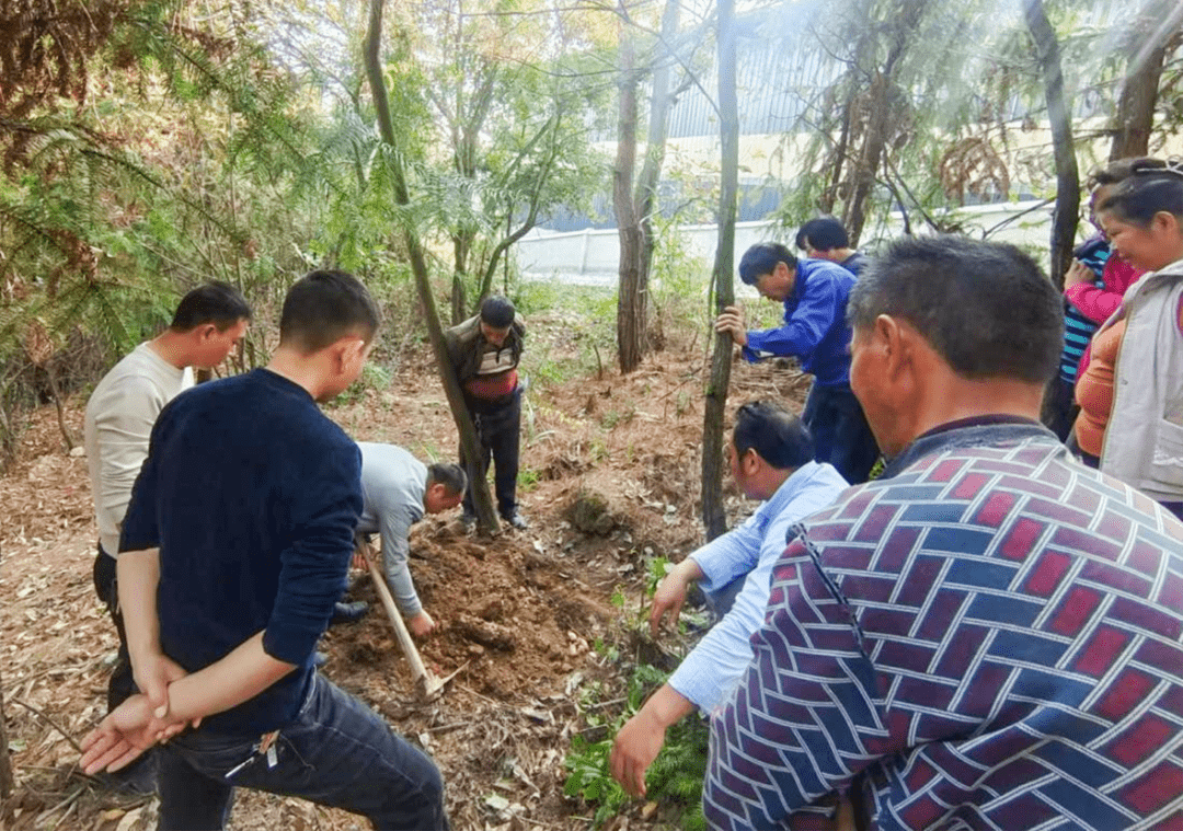 芶江镇：念好“三字诀” 推进“双培养”工程对象进行理论 