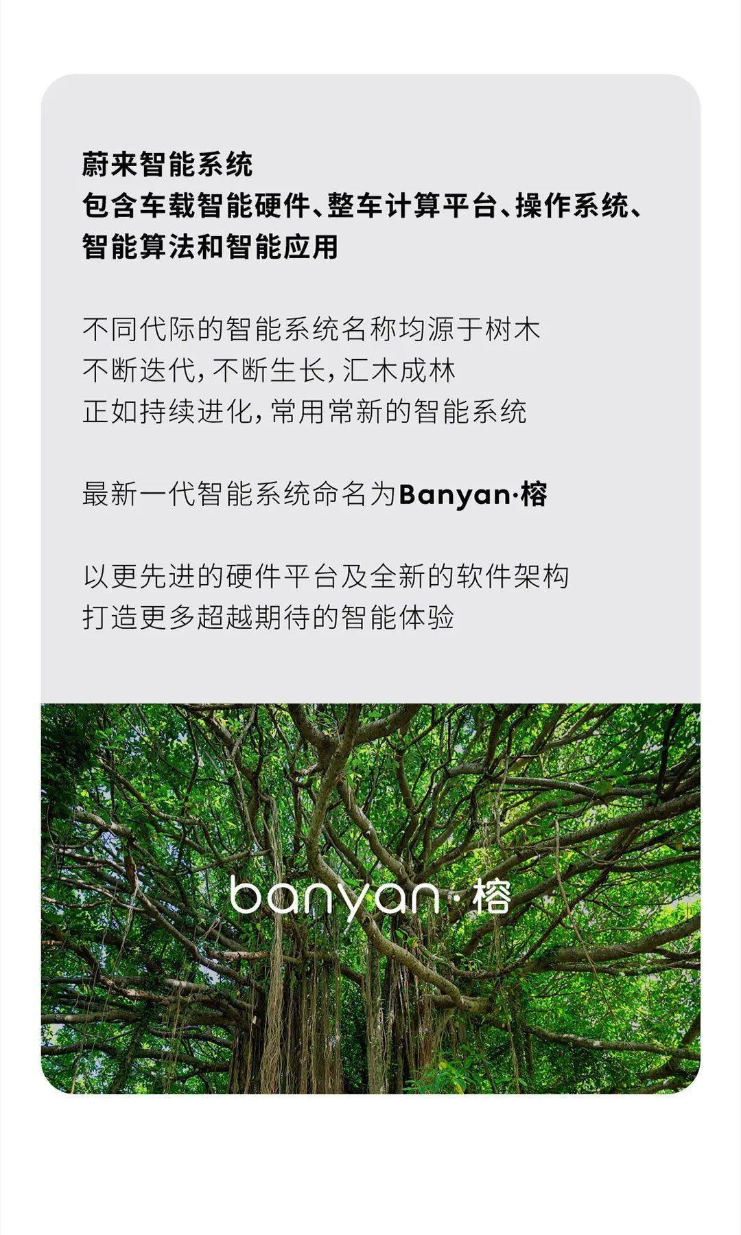 Banyan 2.0.0抢先探索｜关于车的疑问，就在车上解决_搜狐汽车_搜狐网