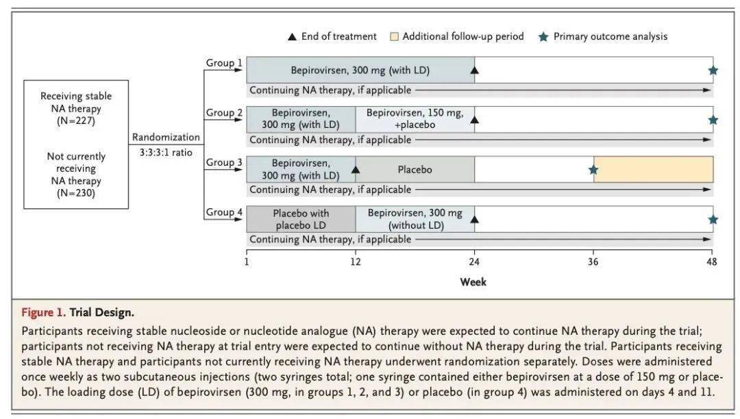 HBV黎明将至_HBsAg_治愈_功能性