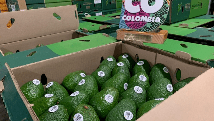 Colombia Avocados releases handling guide_into_This_The