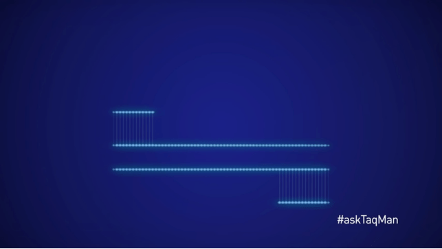 了解Taqman，实时荧光PCR检测的基础原理_基团_报告_反应