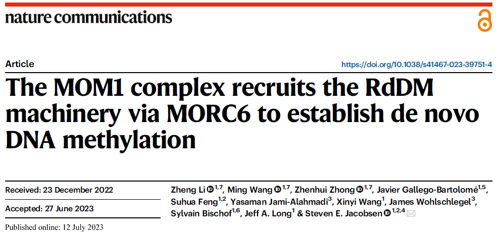 NC｜加州大学洛杉矶分校揭示MOM1复合物介导的DNA甲基化机制_研究_沉默_Figure