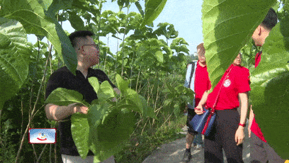 校地结对共建 助推乡村振兴_社区_博士团_华江