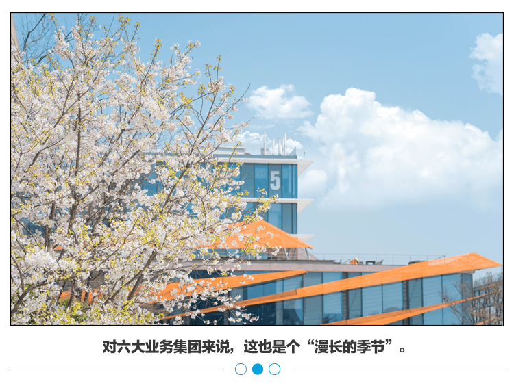 “1+6+N”后第一季，阿里交卷_用户_淘宝_收入