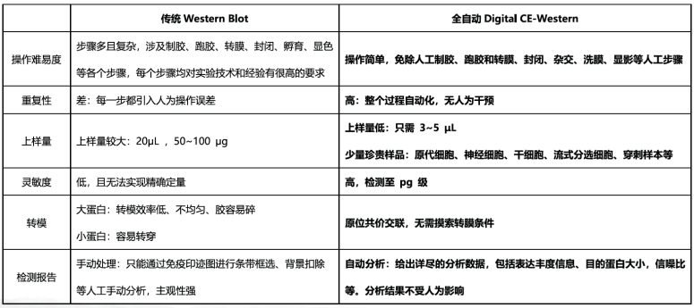 Western Blot实验何以解忧？ ——专业Digital WB检测服务_技术_定量_蛋白
