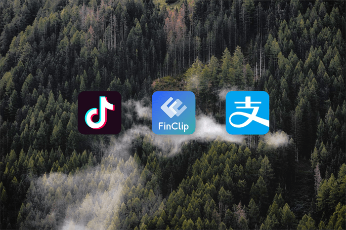 FinClip 全新升级！现已兼容抖音小程序与支付宝小程序_Studio_企业_技术