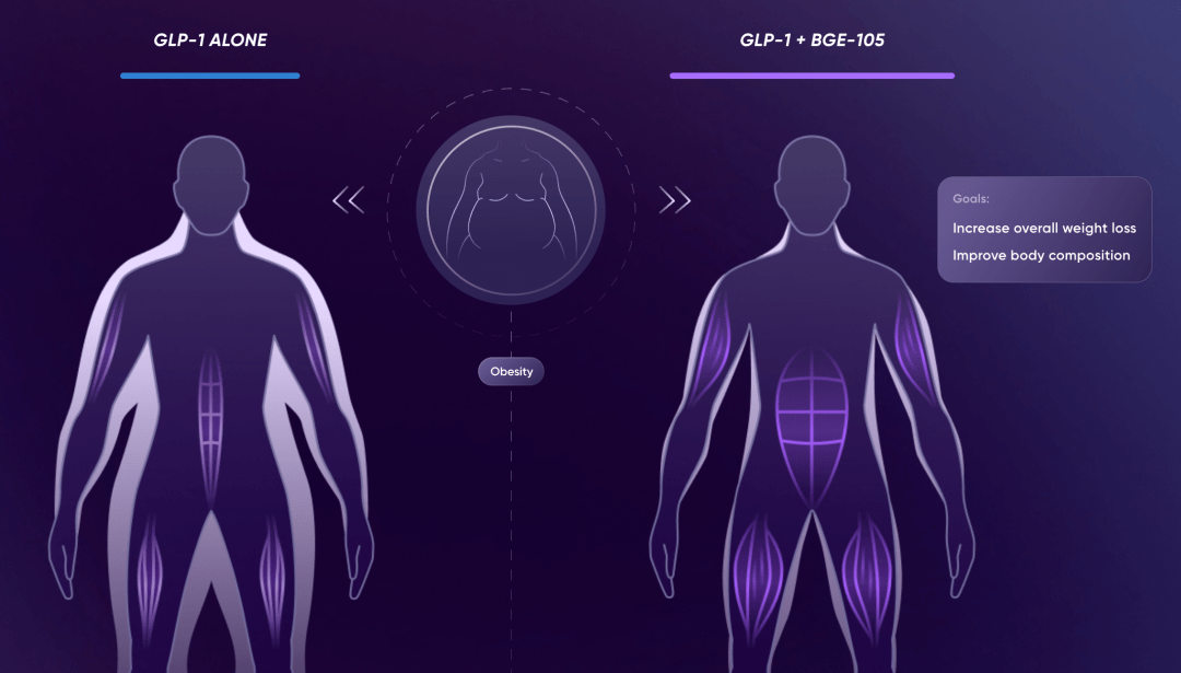 王炸组合！礼来与抗衰老公司BioAge合作临床试验，在减肥的同时，保持甚至增加肌肉_Apelin_开发_治疗