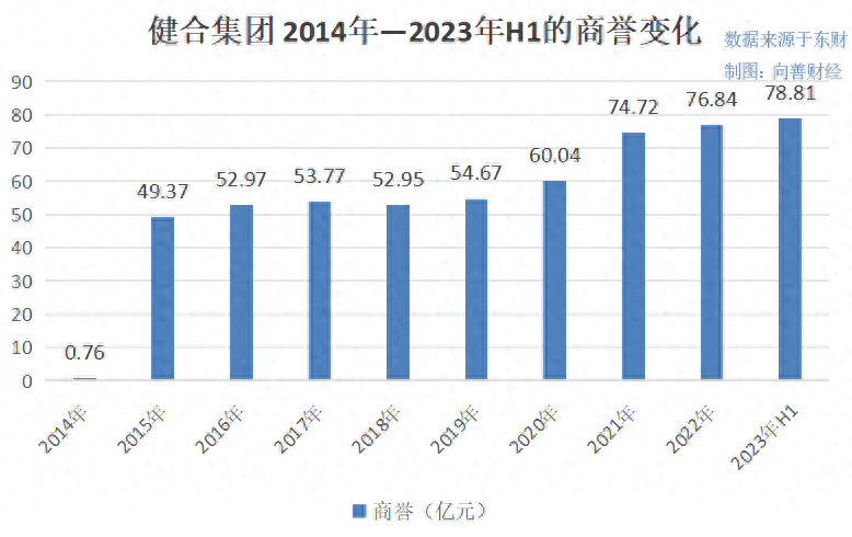 安玉婷、Camillo Pane之后，李凤婷能否闯过健合的“压力测试”？_集团_商誉_业务