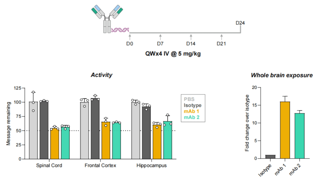 Alnylam：三驾马车将RNAi推向更广泛的适应症_基因组_siRNA_疾病