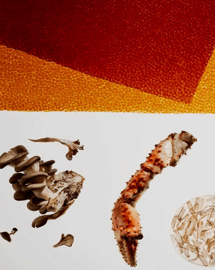 NTMT丨以虾壳为原料的皮革替代品尝试量产，TômTex完成超千万元种子轮融资_Uyen_Tran_越南